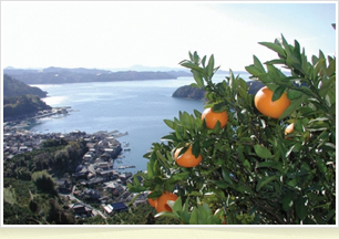 Seiyo Tourism Products Site | Memories in an elevation of 1,400 meters